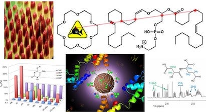 Analytical Chemistry | Department of Chemistry
