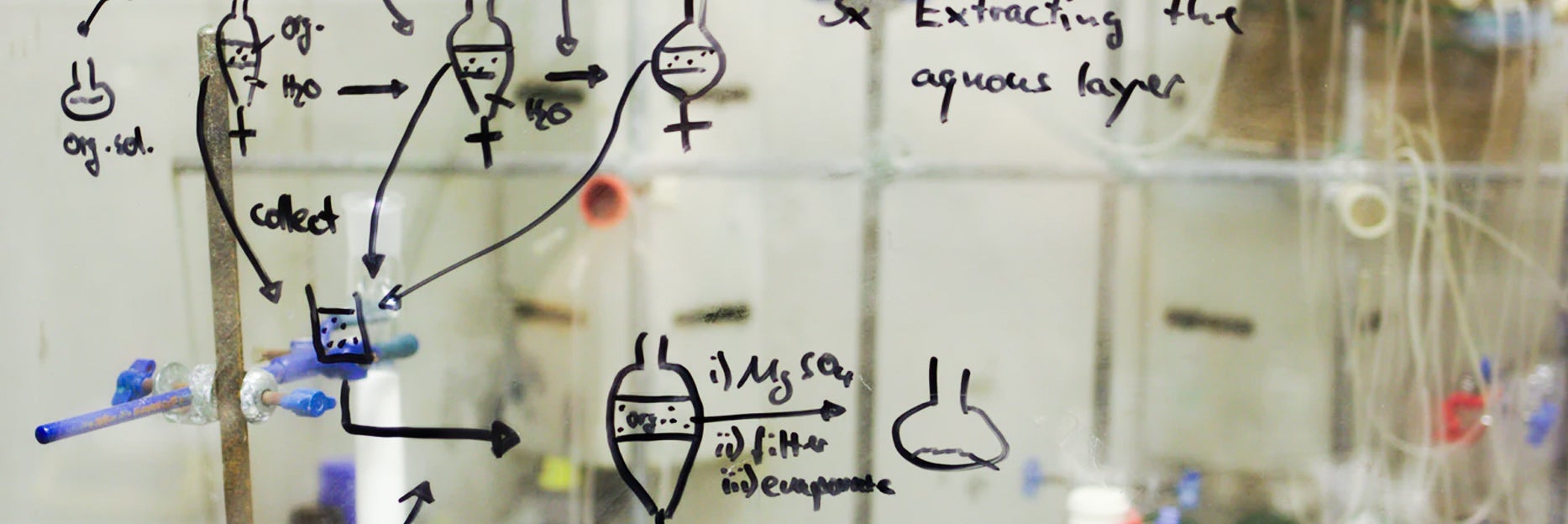 Faculty | Department of Chemistry